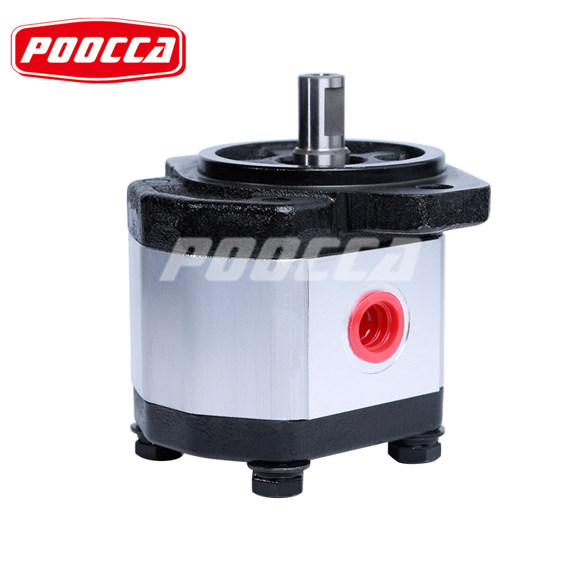 Ronzio Group 2 Z2 Hydraulic Gear Pump - POOCCA