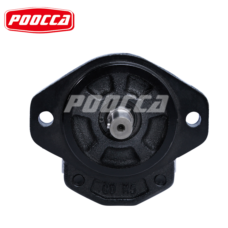 Ronzio Group 2 Z2 Hydraulic Gear Pump - POOCCA
