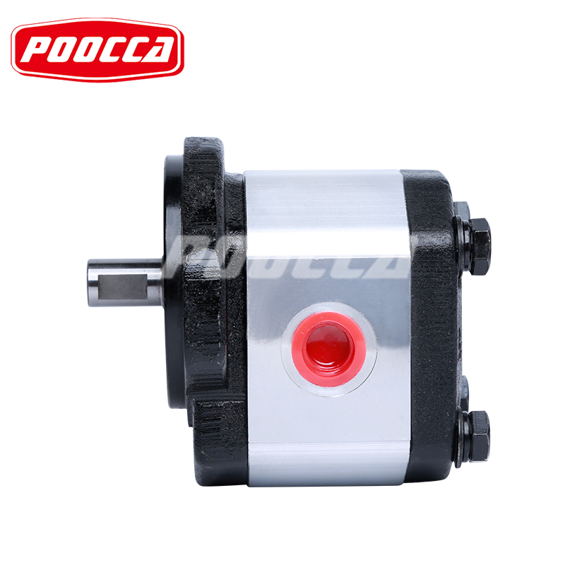 Ronzio Group 2 Z2 Hydraulic Gear Pump - POOCCA