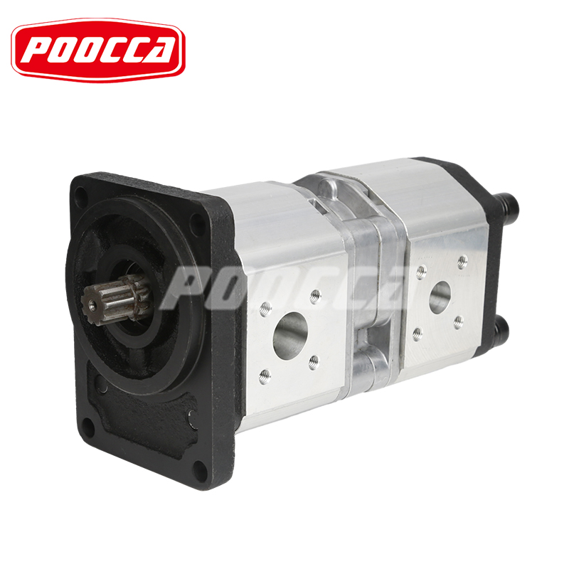 Salami 2PE Gear Pump Group2 E Series - POOCCA