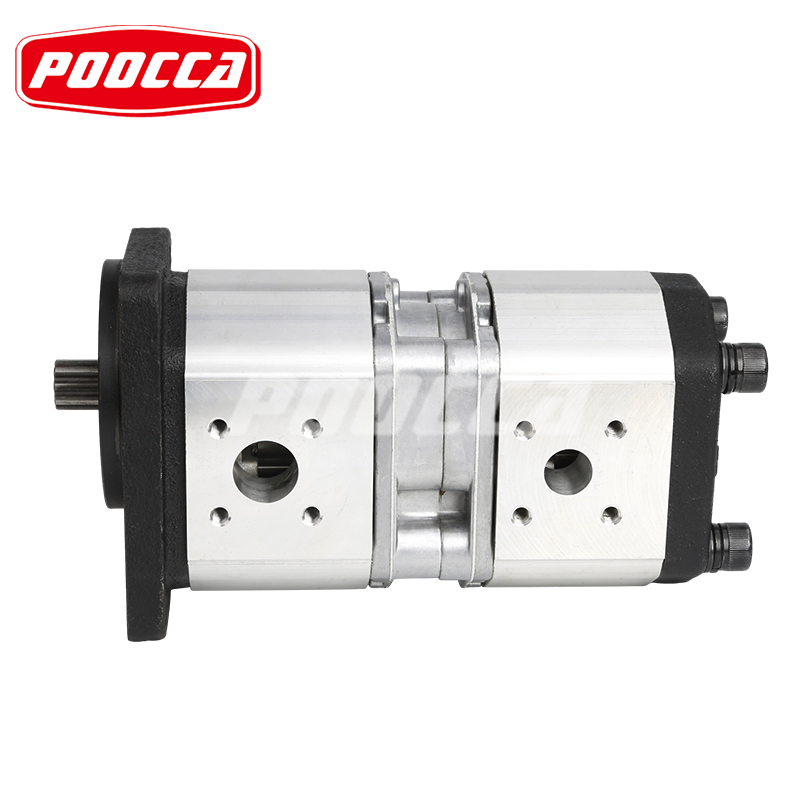 Salami 2PE Gear Pump Group2 E Series - POOCCA